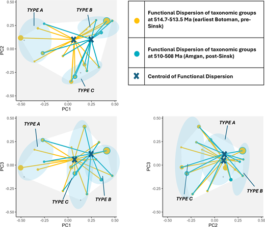 Changes in metazoan functional diversity across the Cambrian Radiation ...