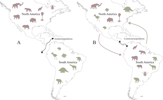 Reviewing the Great American Biotic Interchange: climate change as a ...