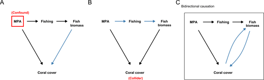 Towards a causal understanding of bidirectional effects in ecology and ...