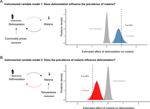 Towards a causal understanding of bidirectional effects in ecology and ...