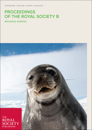 A toothless dwarf dolphin (Odontoceti: Xenorophidae) points to ...
