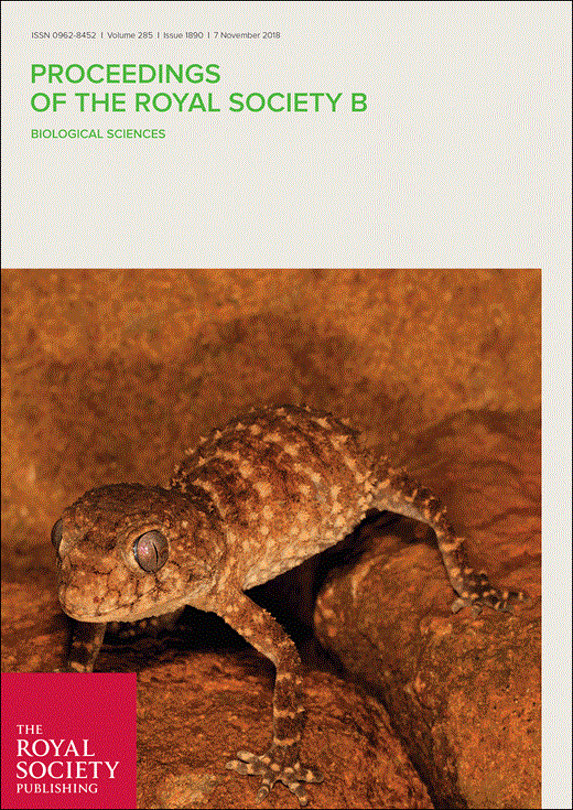 Building the differences: a case for the ground tissue patterning in ...
