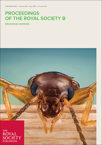 Ecosystem function after the K/Pg extinction: decoupling of marine ...