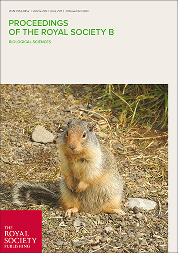 Heterogeneity in killing efficacy of individual effector CD8+ T cells ...