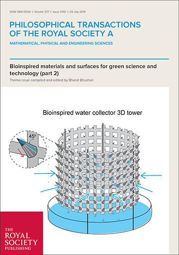 Bioinspired synthesis of SnO crosses as backbone in artificial sponges ...