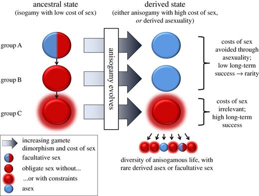 What do isogamous organisms teach us about sex and the two sexes ...
