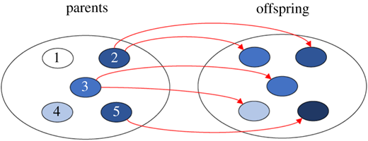 Price's equation made clear | Philosophical Transactions of the Royal ...