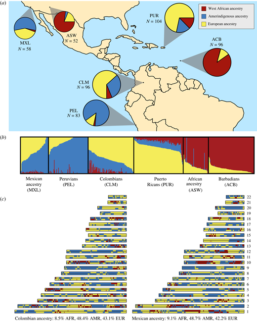 Human genetic admixture through the lens of population genomics ...