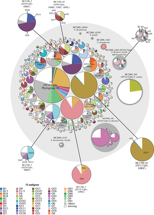 EnteroBase: hierarchical clustering of 100 000s of bacterial genomes ...