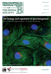 Tight junctions in the testis: new perspectives | Philosophical ...