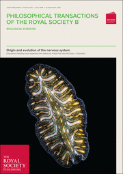 Where is my mind? How sponges and placozoans may have lost neural cell ...