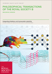 A metaplasticity view of the interaction between homeostatic and ...