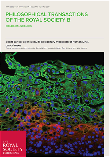 Towards a multi-level and a multi-disciplinary approach to DNA ...