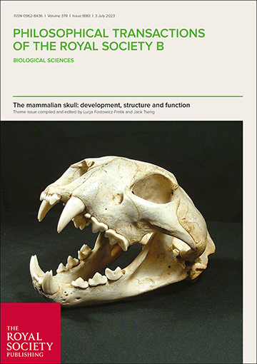 Craniodental anatomy in Permian–Jurassic Cynodontia and Mammaliaformes ...
