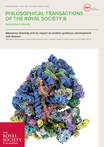Ribosomal protein S25 promotes cell cycle entry for a productive BK ...