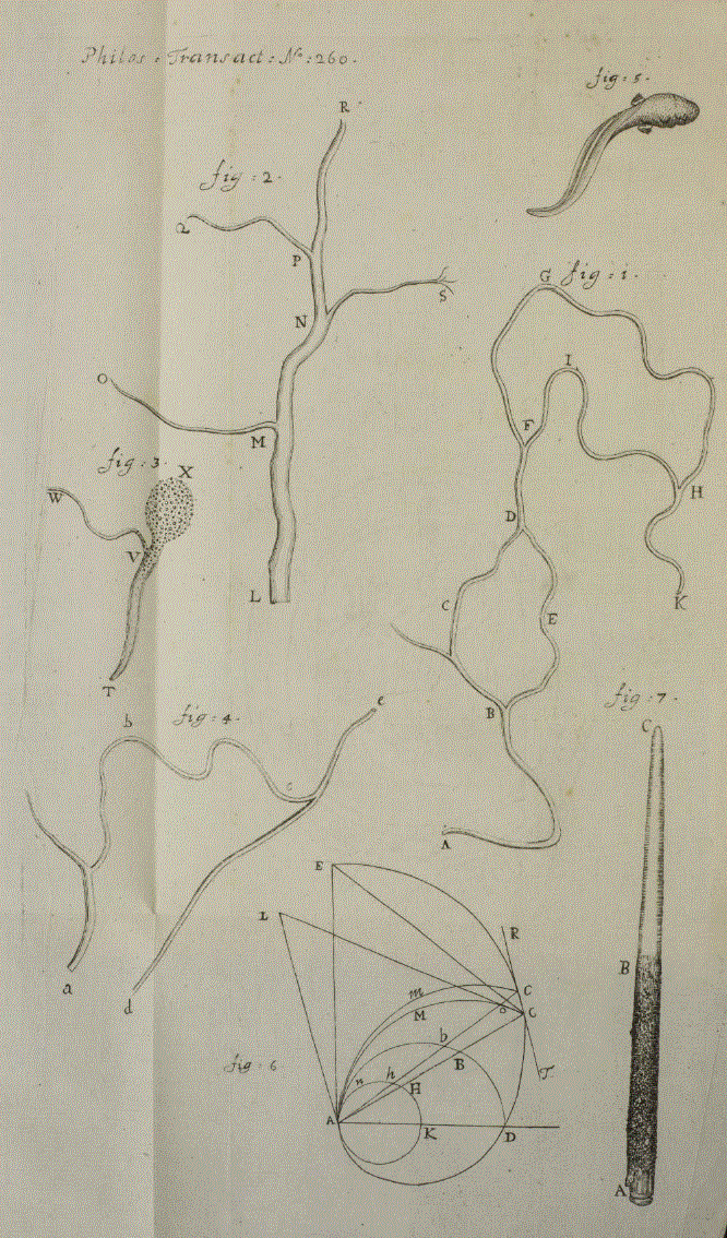 Figures 1 - 7 of issue 260 | Philosophical Transactions | The Royal Society